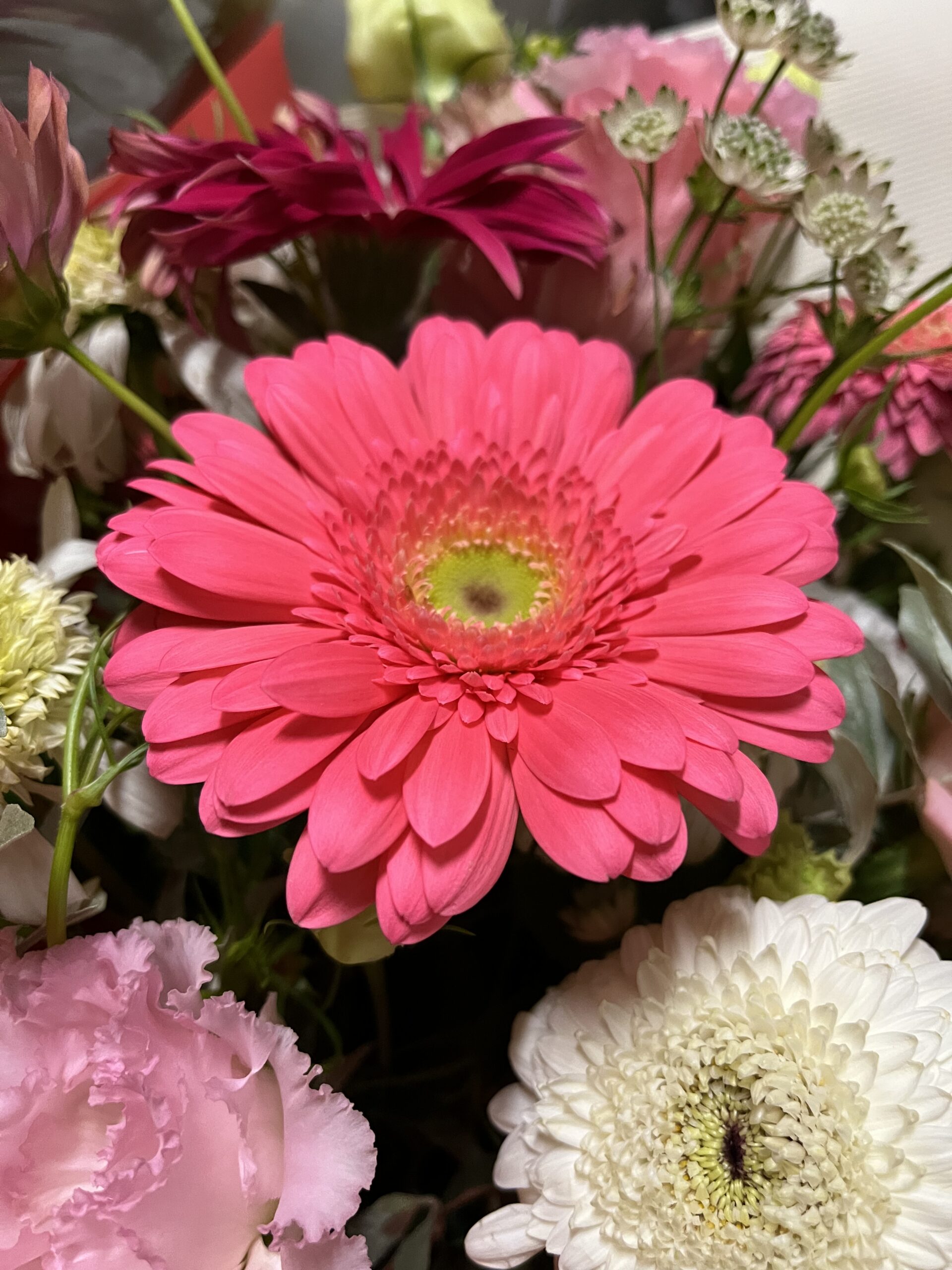 感謝とお知らせ - 新潟市のタイ古式マッサージのお店「namjai」ナムヂャイ